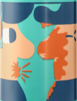 Mikkeller Burst IPA | American IPA uit Denemarken | biernet.nl